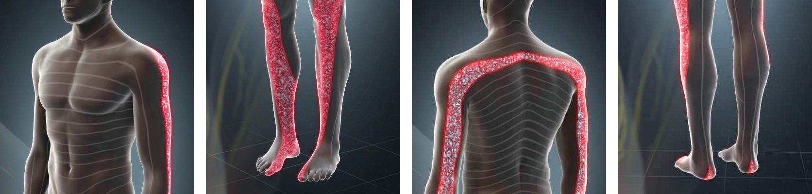 What Are The Types Of Spinal Pain - PMCOA